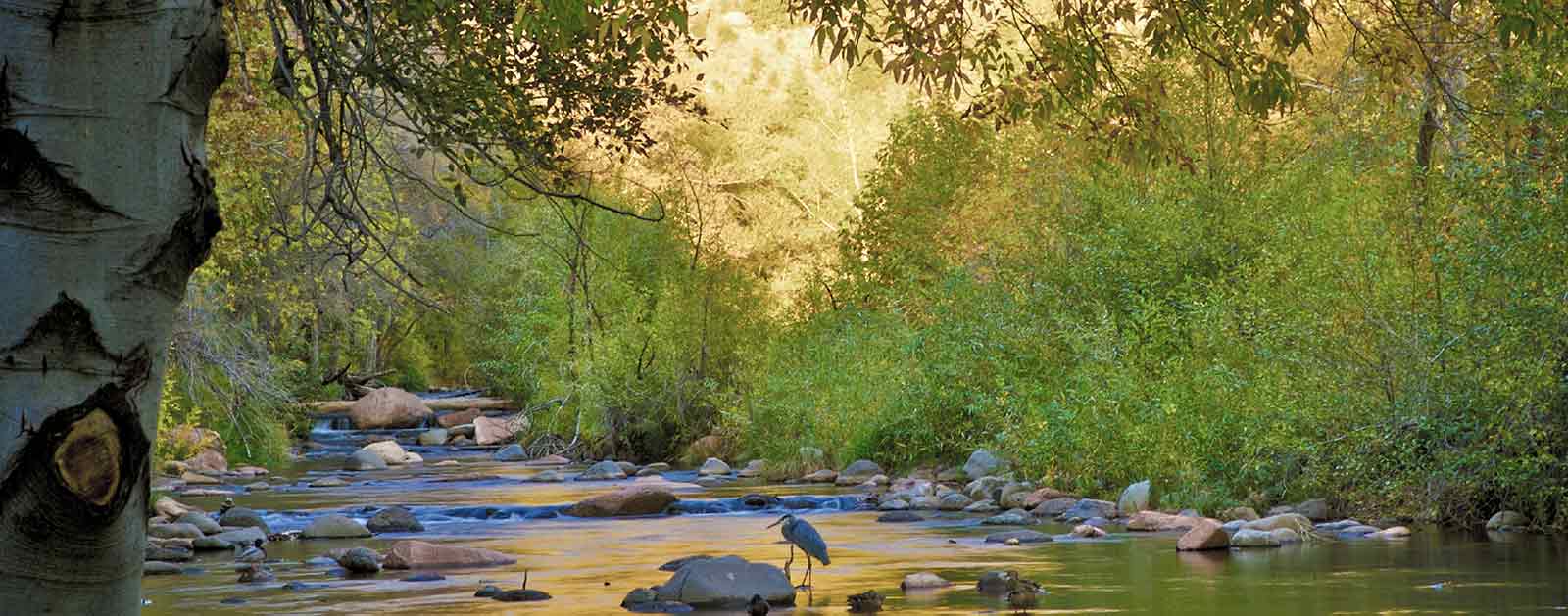 Verde River | American Rivers