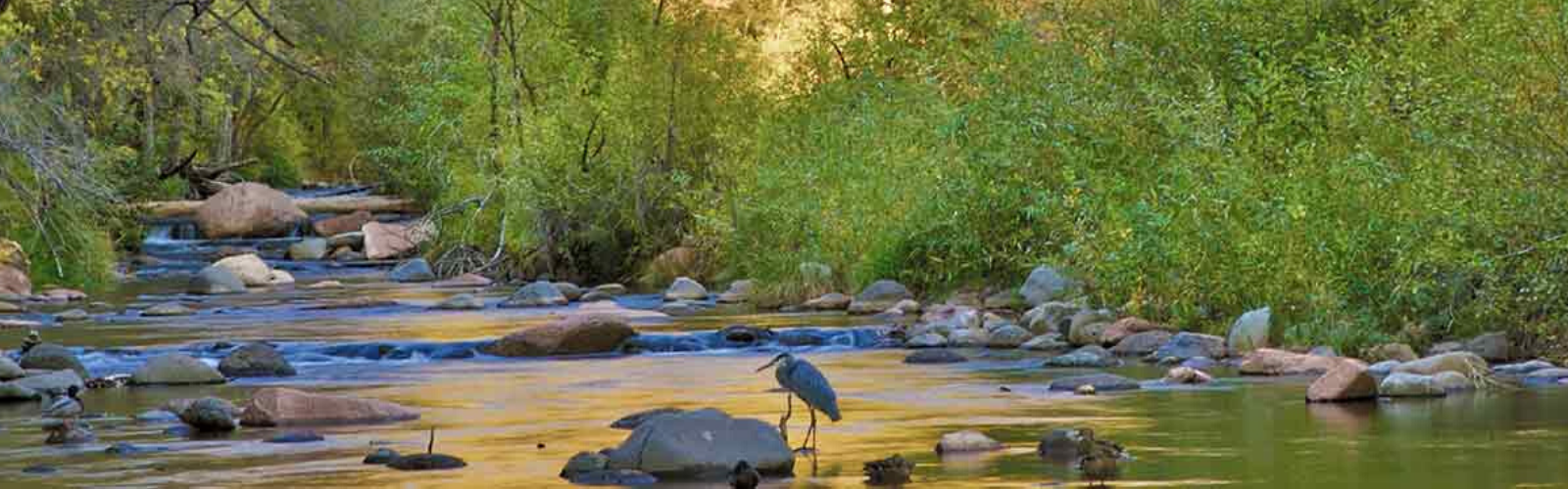 Verde River | American Rivers