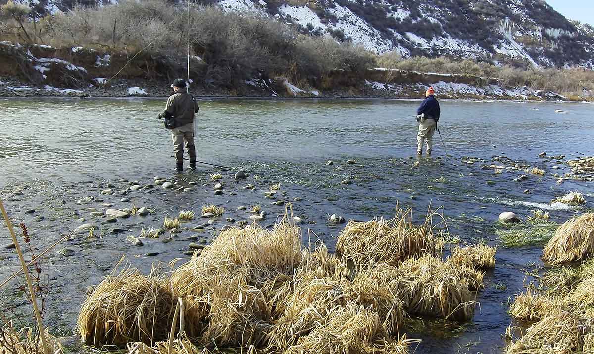 Gunnison River | American Rivers