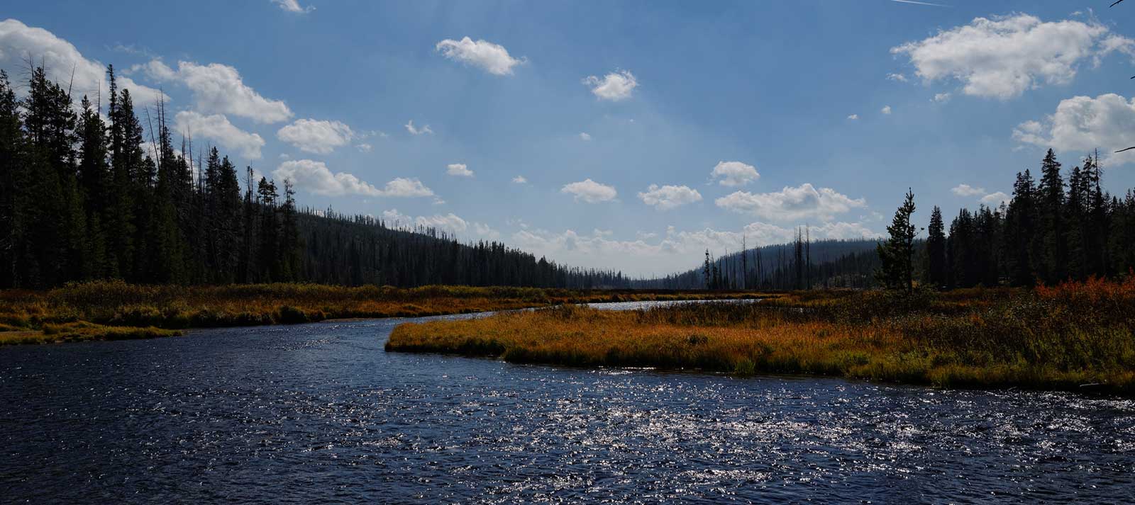 Yellowstone River | American Rivers