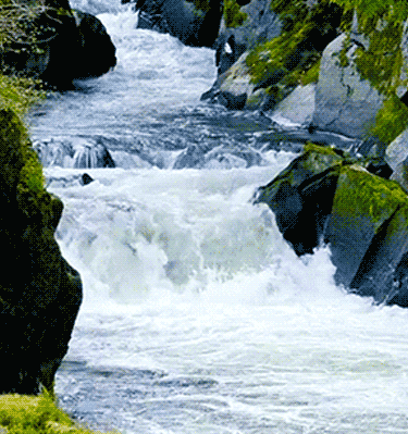 American Rivers | Rivers Connect Us