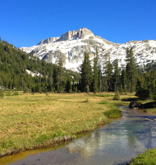 American Rivers | Rivers Connect Us