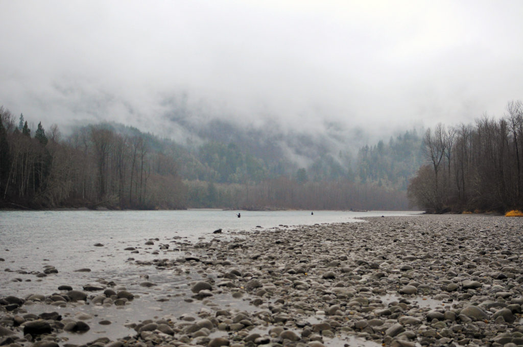 Fifty Years of Wild and Scenic Rivers in Washington: The Skagit River ...