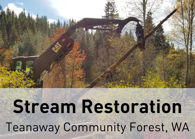 River Restoration Success Stories | American Rivers