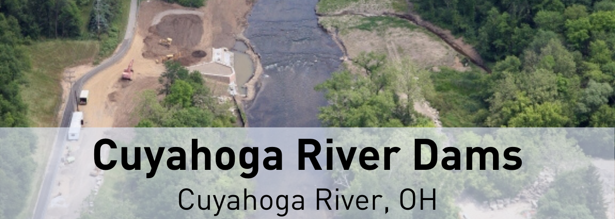 More River Restoration Success Stories | American Rivers