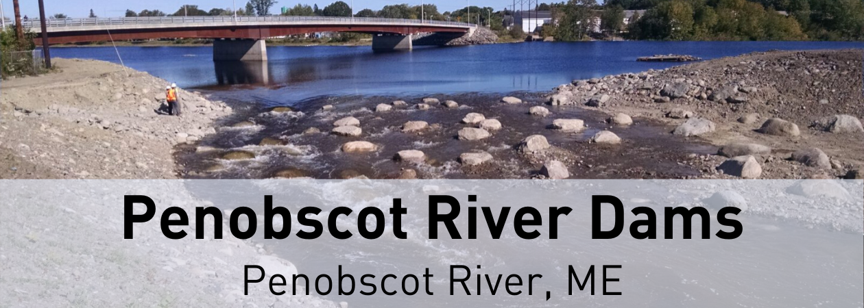 More River Restoration Success Stories | American Rivers