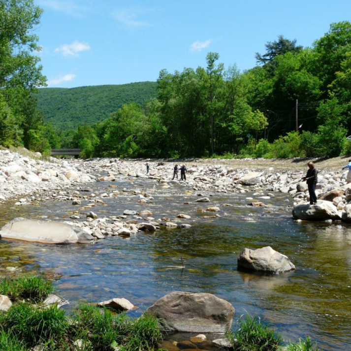 River Restoration Success Stories | American Rivers