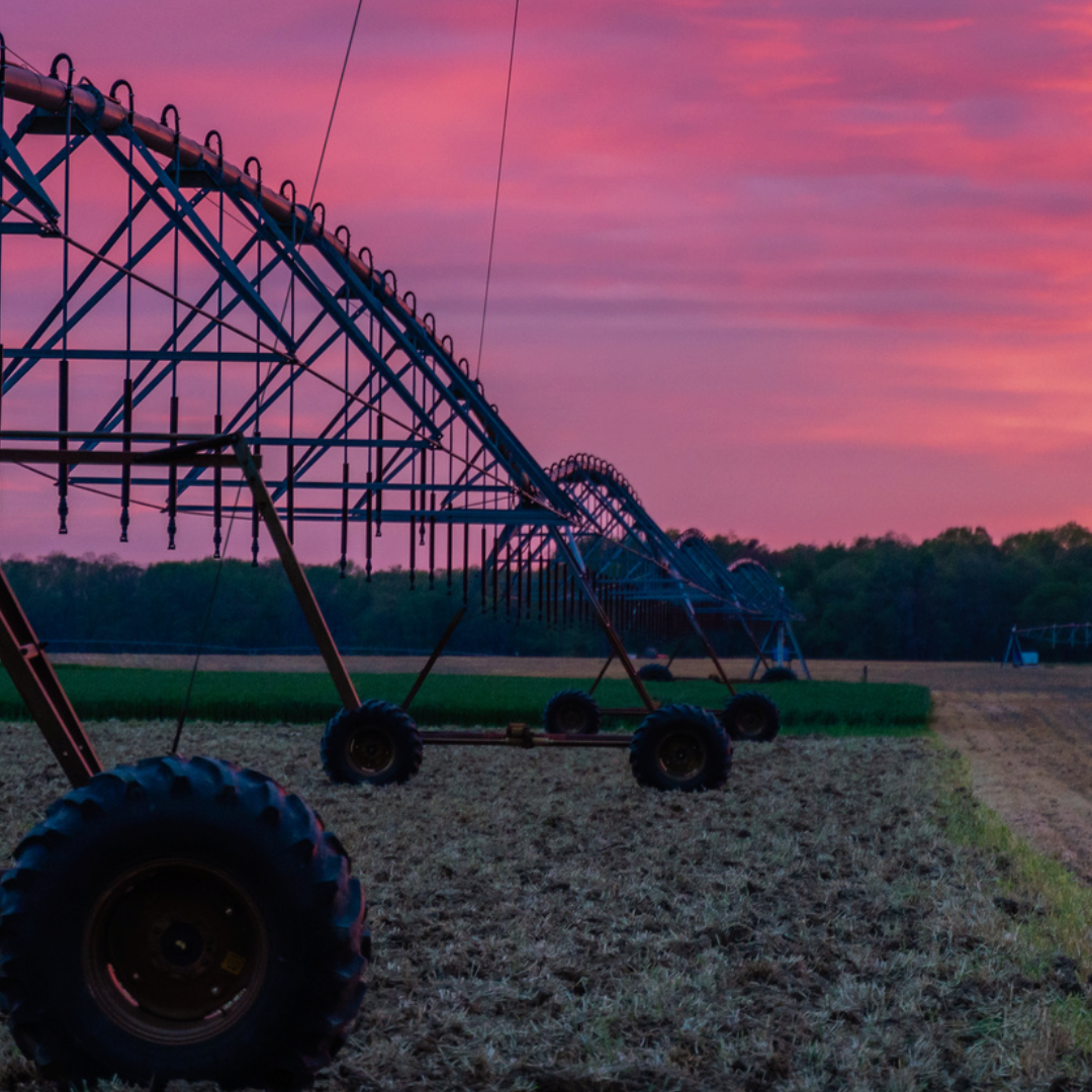 Stories of the Land: Diverse Agricultural Histories in the U.S.