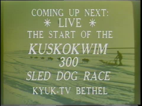 1983 K-300 Start; Kuskokwim 300 Sled Dog Race - American Archive of ...