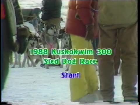1988 Start; Kuskokwim 300 Sled Dog Race - American Archive of Public ...