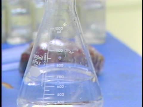 Master 2; Steve Amen - American Archive of Public Broadcasting