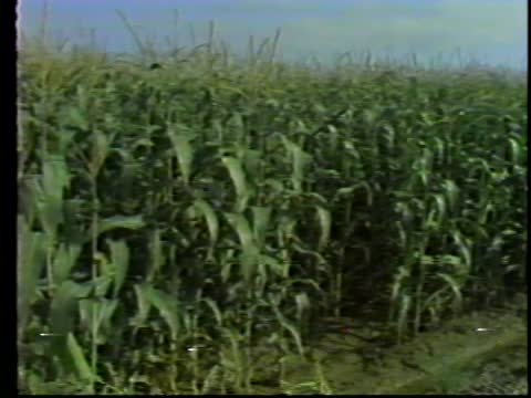 Proof of Performance; Steve Amen - American Archive of Public Broadcasting