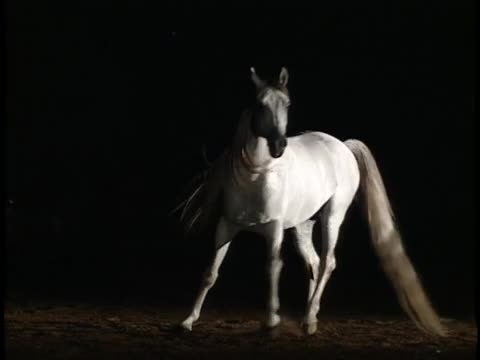 ¡Colores!; 608; A Mi Raza: The Writings of Sabine Ulibarri; Wonder ...