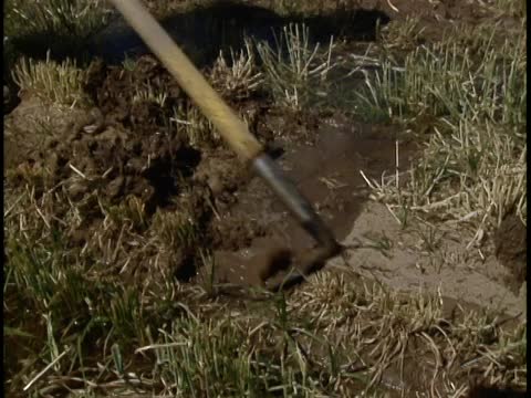 The Border Project; 4; Robert Faubion and Worker Open a Gate and Robert ...