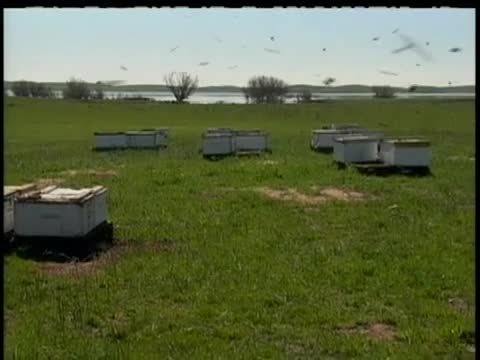 The NewsHour with Jim Lehrer; April 3, 2007 - American Archive of ...