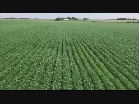 PBS NewsHour Weekend; PBS NewsHour Weekend : KQED : July 3, 2016 5:30pm ...