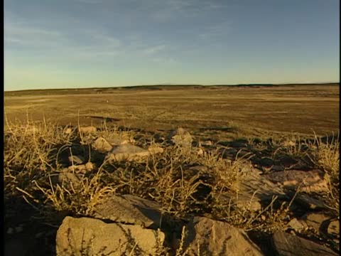 Surviving Columbus; 4; Háwikuh Sunset - American Archive of Public ...