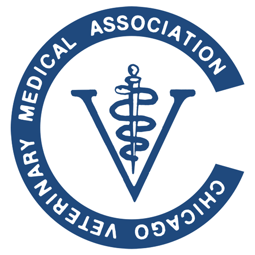 CVMA: 120th and Beyond - Chicago VMA