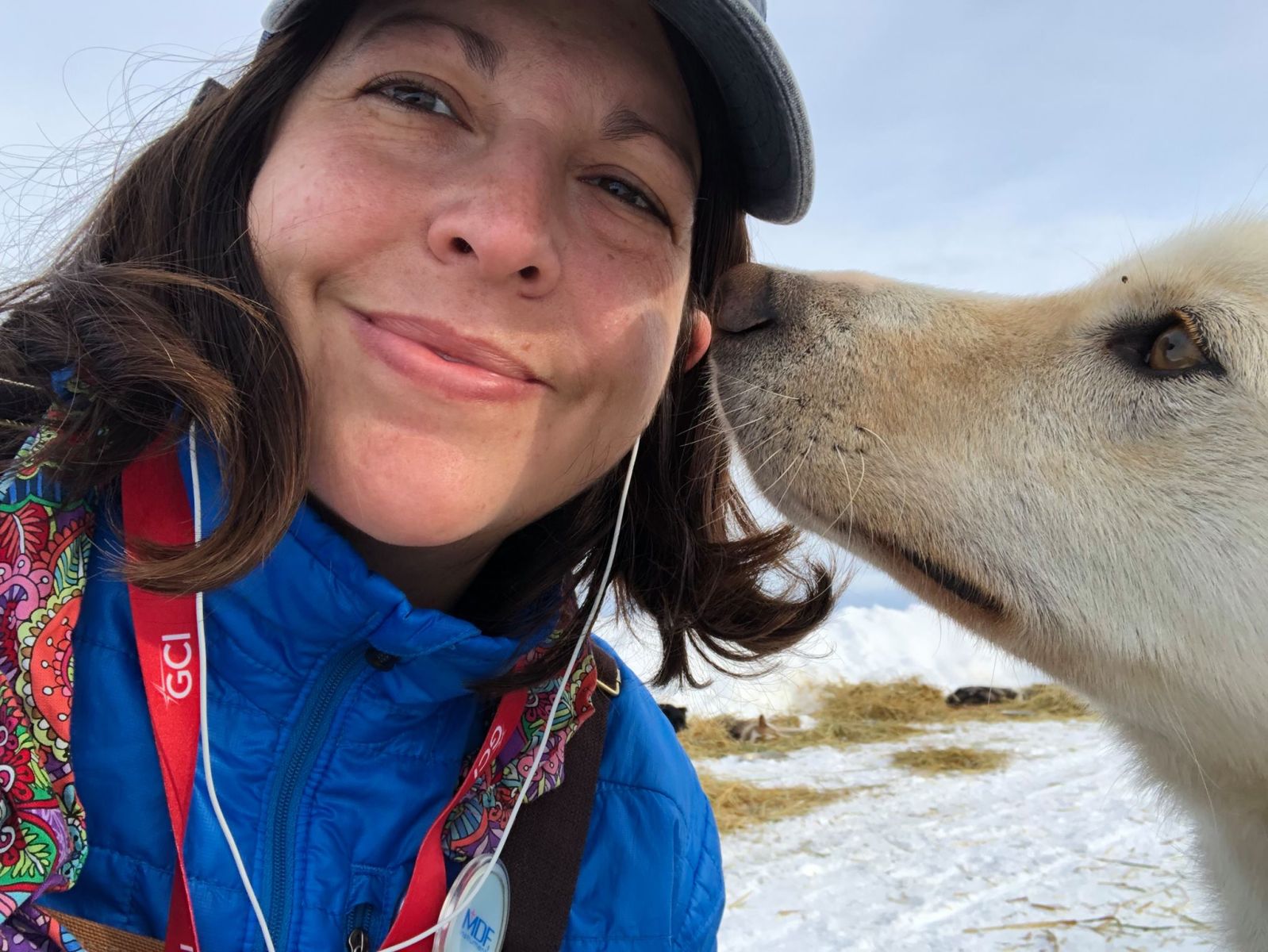 Chicago Veterinary Medical Association (CVMA) - Powered by AMO