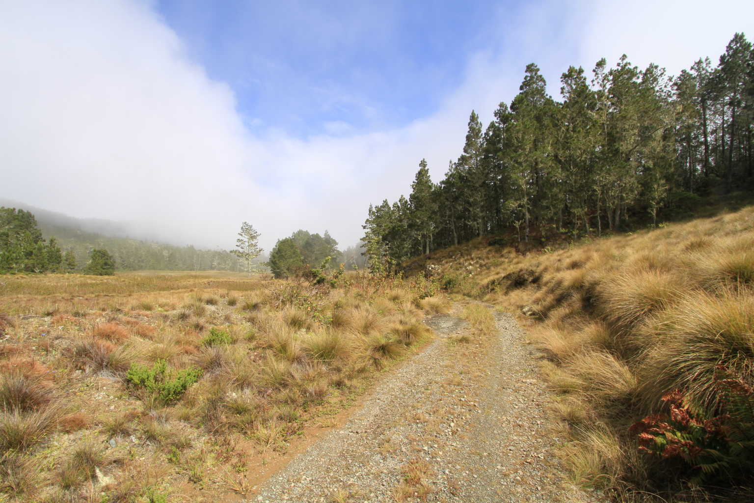 Senderos que debes conocer - Andariego.do