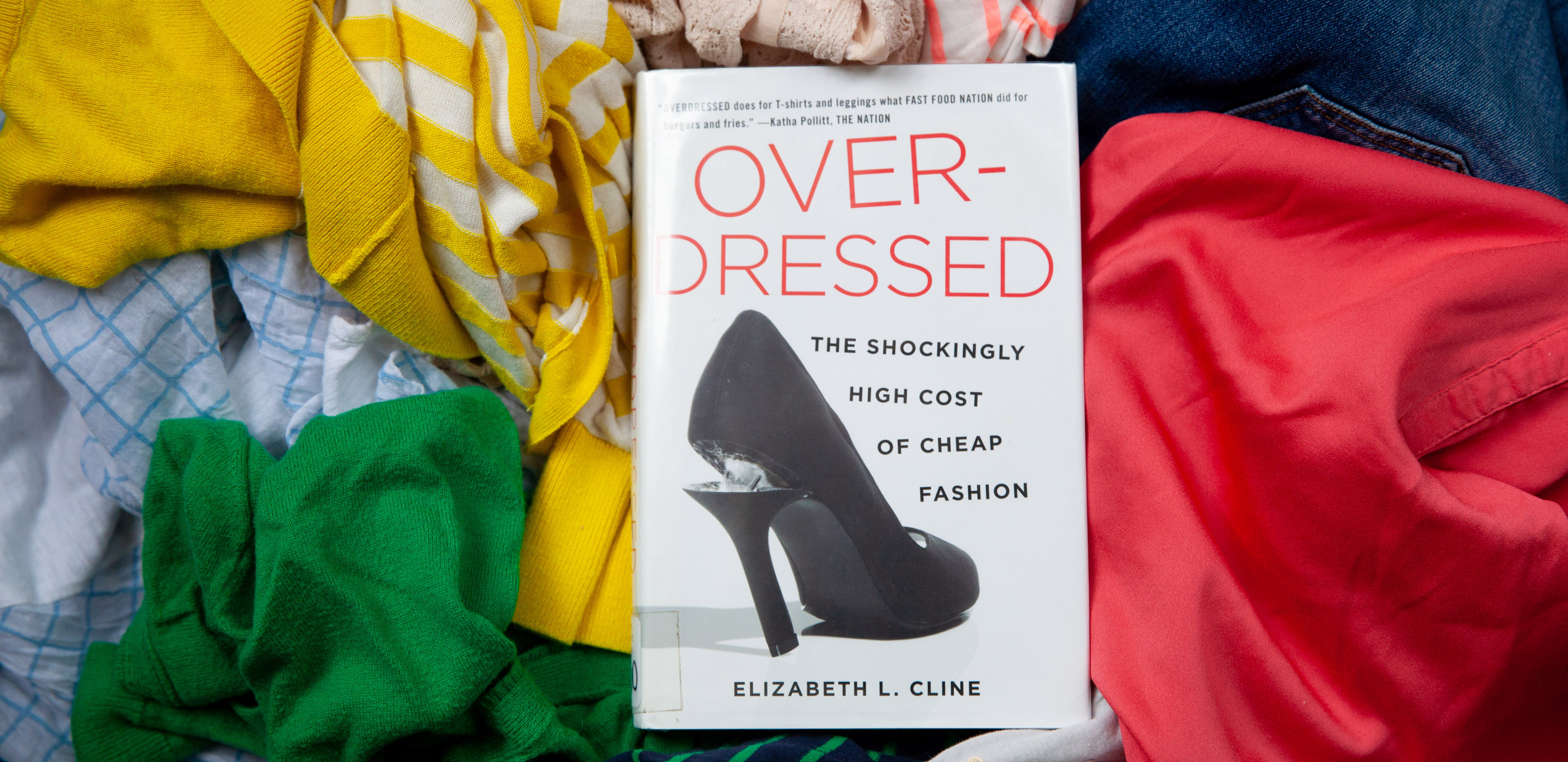 What I'm Reading: Overdressed - Everyday Annie