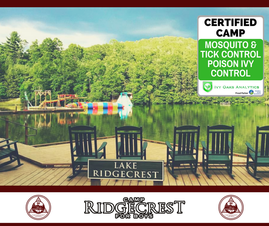 Healthcare and Medical Safety at Ridgecrest Christian Summer Camps