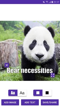 Download Caption for PC / Windows / Computer