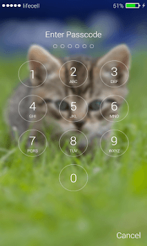 Download Cats Lock Wallpaper for PC / MAC / Windows