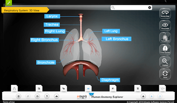 Download Human Anatomy Explorer for PC / MAC / Windows