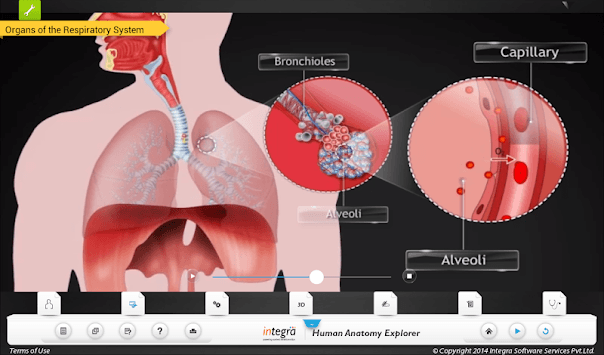 Download Human Anatomy Explorer for PC / MAC / Windows