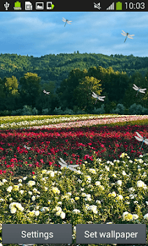 Download Landscape Live Wallpapers for PC / MAC / Windows