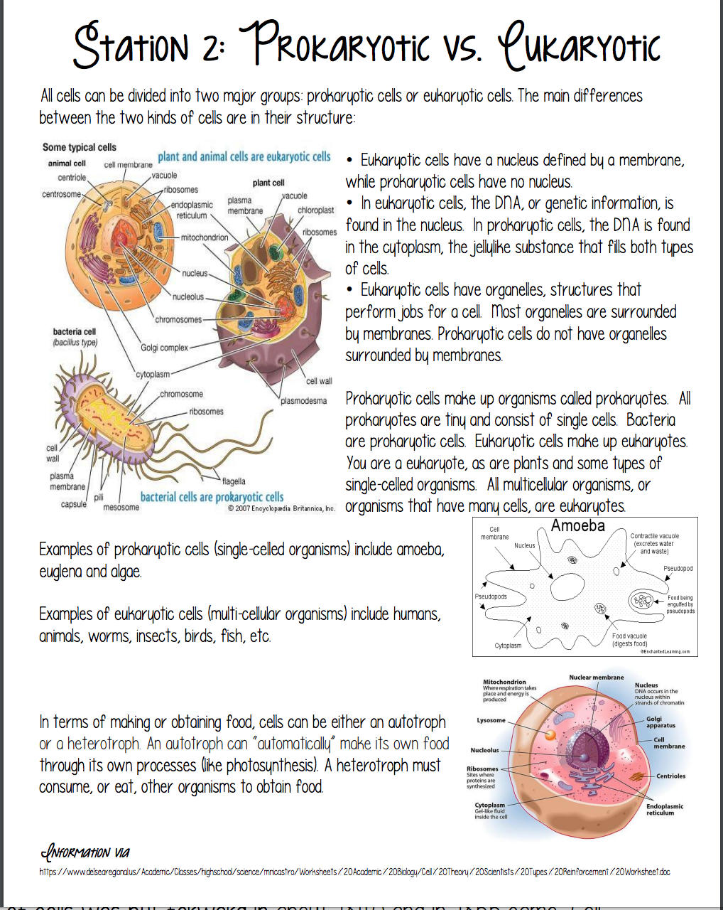 Photosynthesis & Cell Respiration Review - Rachel Sanders | Library ...