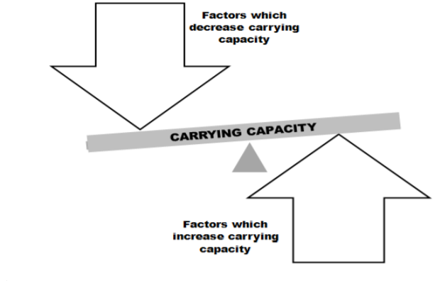 Carrying Capacity and Limiting Factor - Afroza Rahman | Library | Formative