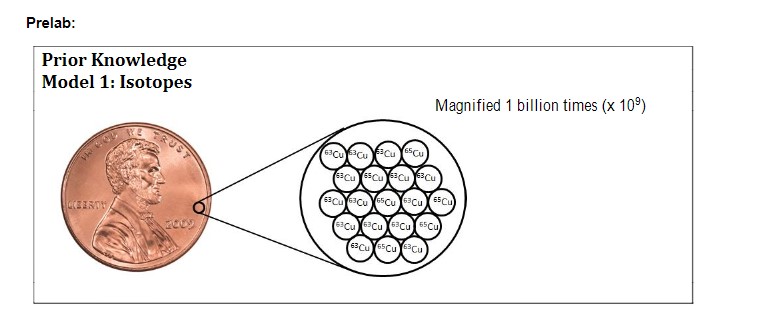 Lab: Eggium - Deborah Boyce | Library | Formative