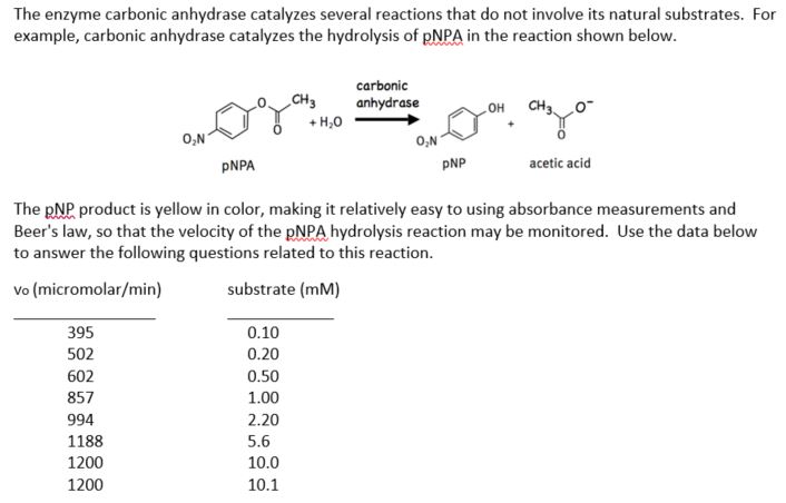 14. What is the catalytic efficiency of the carbonic | Chegg.com