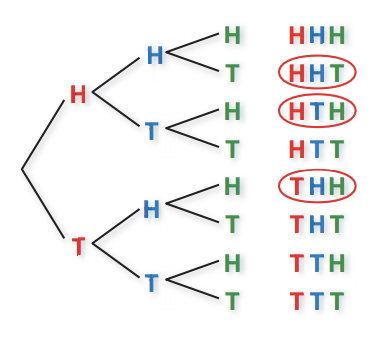 Compound Probability - Sandra Miller | Library | Formative