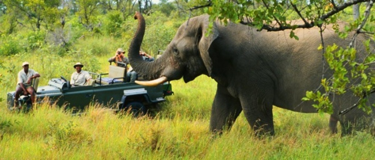 Latest jobs at Freedom Destinations | Escape the City