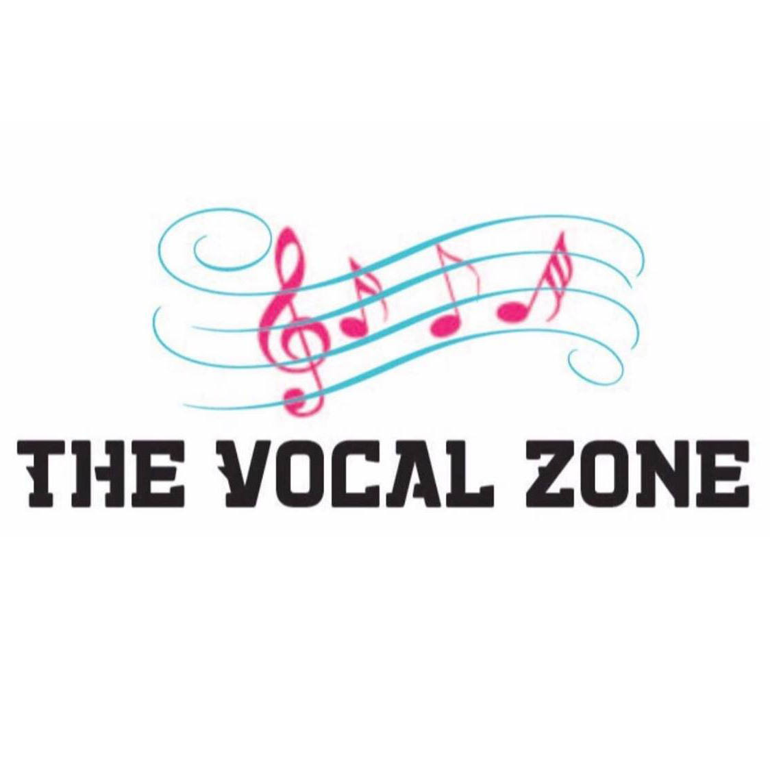 The Vocal Zone - 2 Reviews - Sutherland, NSW