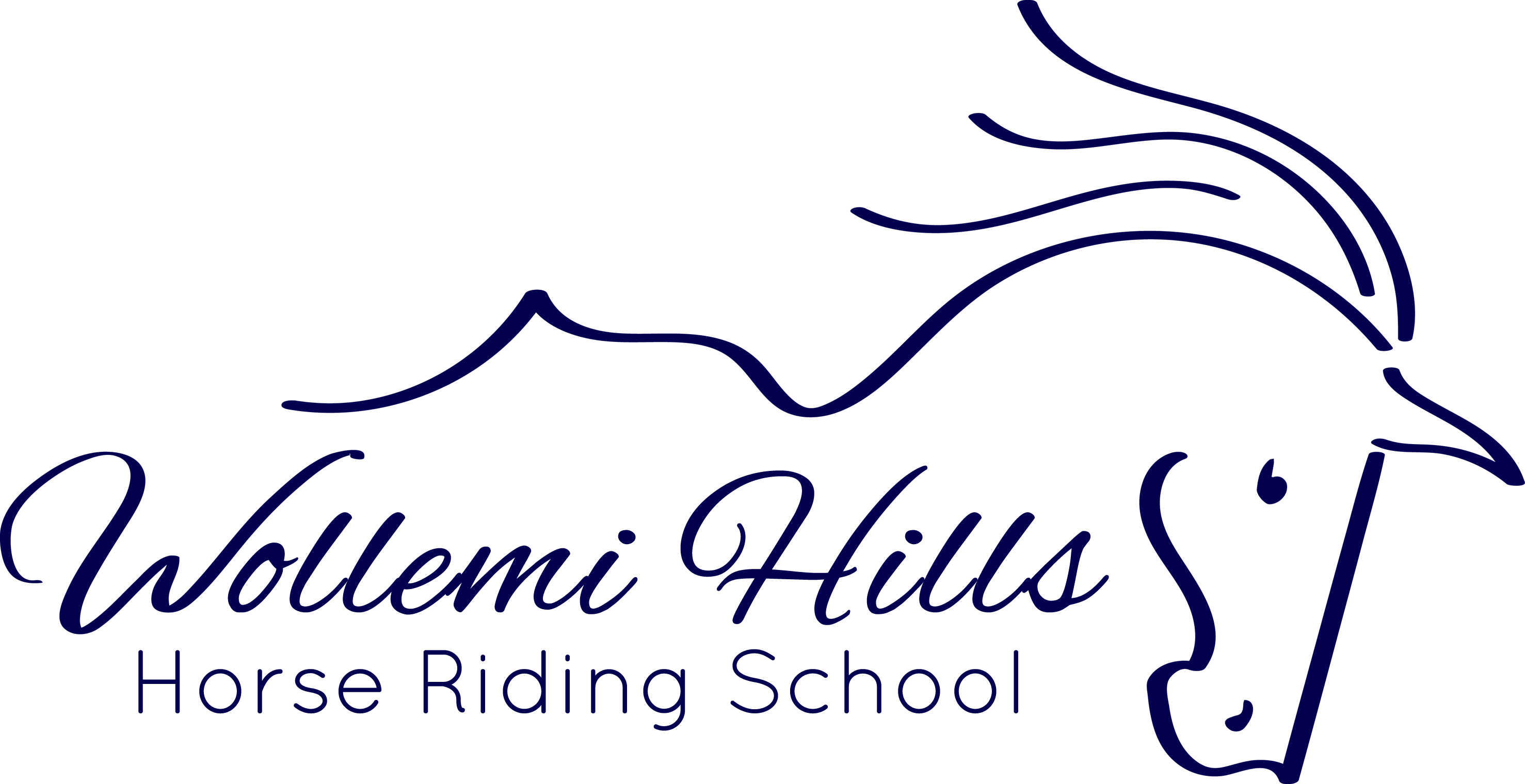 Wollemi Hills Horse Riding School - 3 Reviews - Bulga, NSW