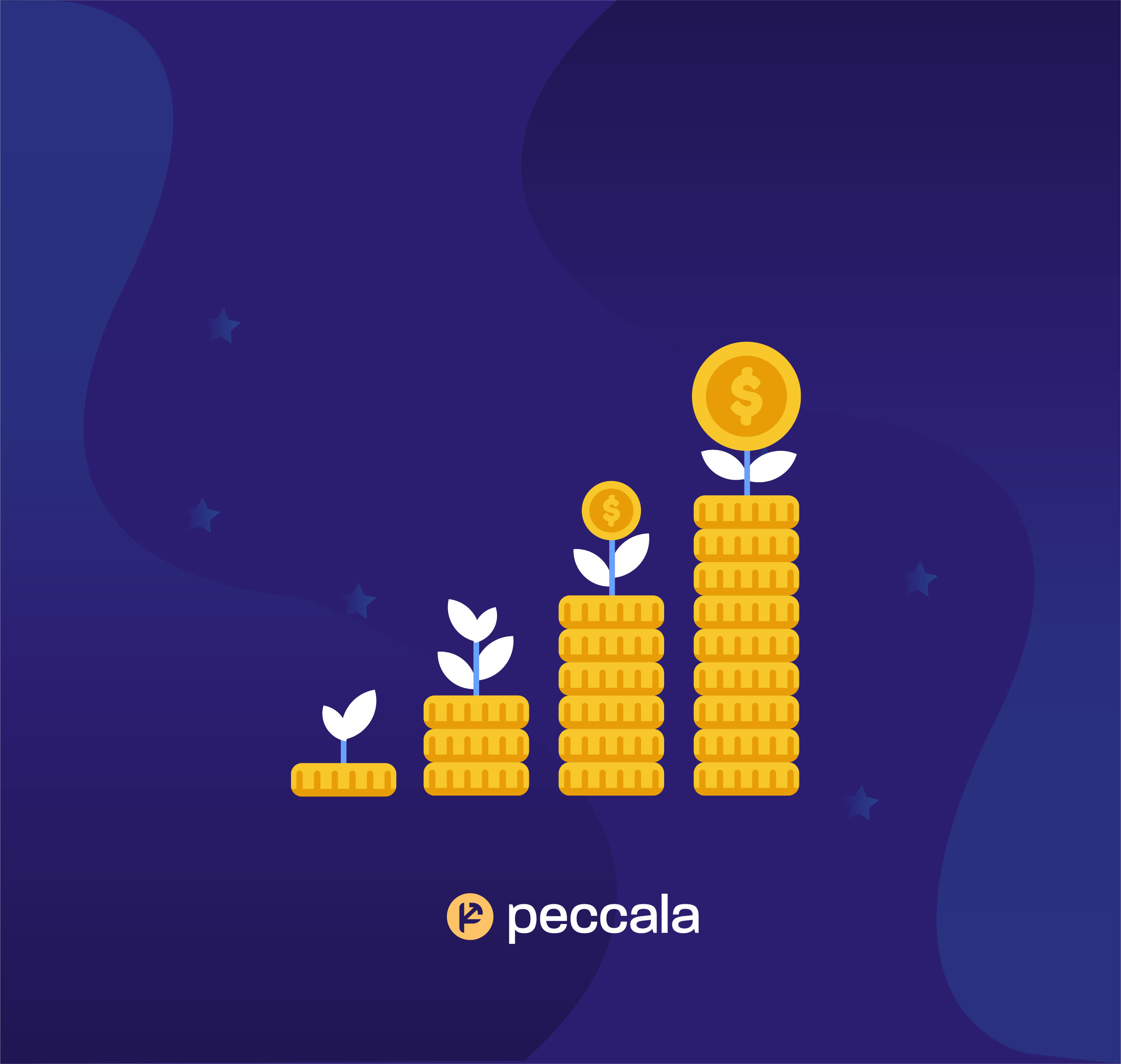 Growth Portfolio - What it is and how does it work