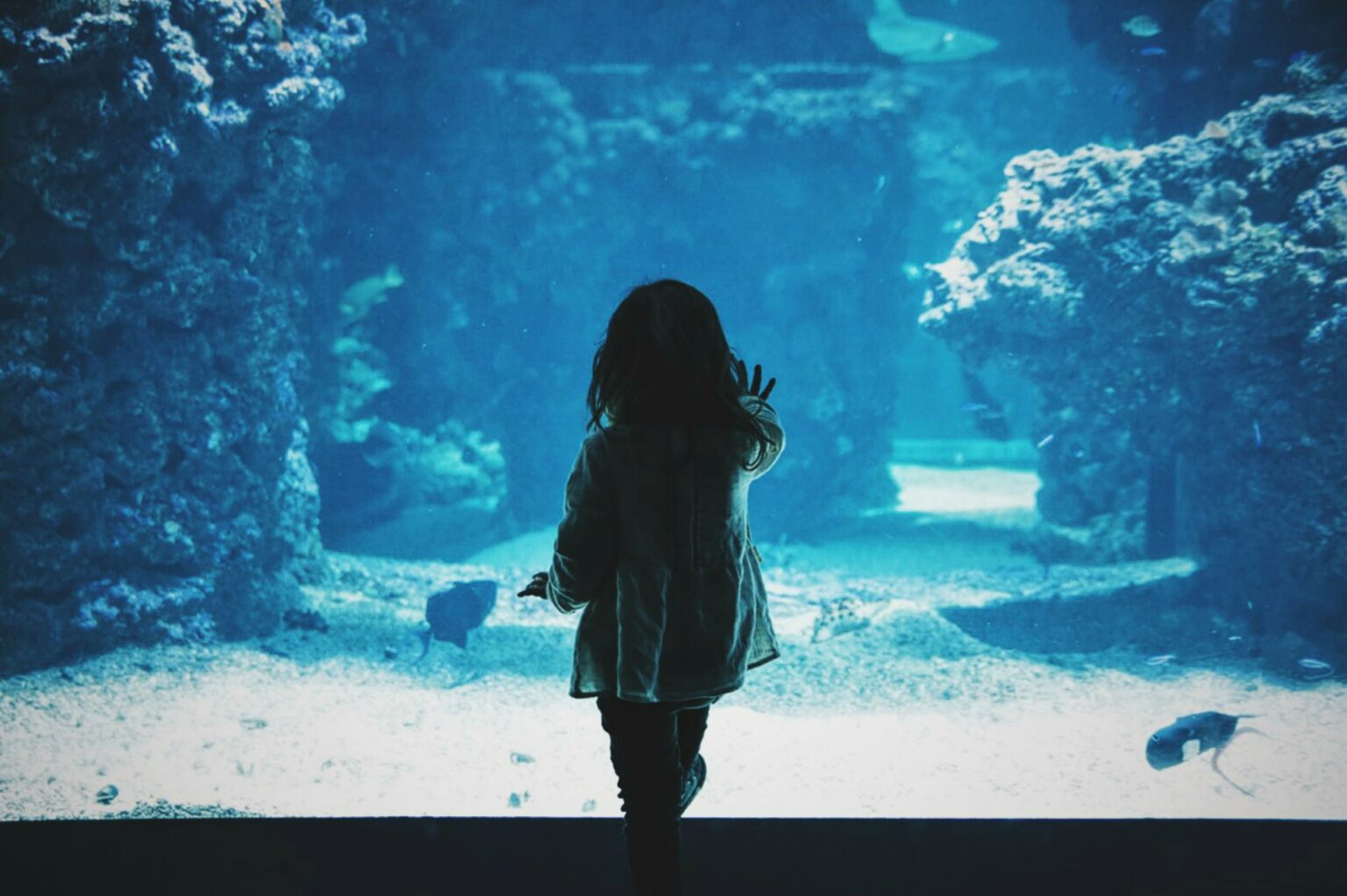 Spring Break Activities for Kids: Great Ideas for the Family