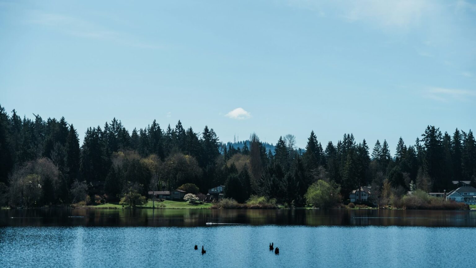 12 Things to Do Near Seattle Airport: Nearby and Inside