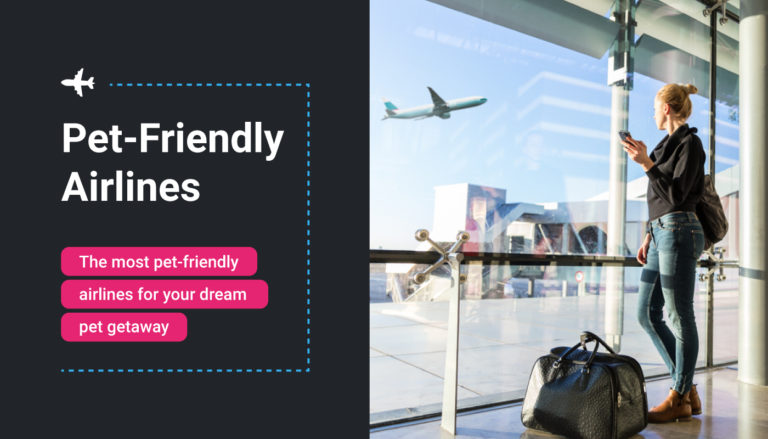 The Most Pet-Friendly Airlines When Traveling Abroad