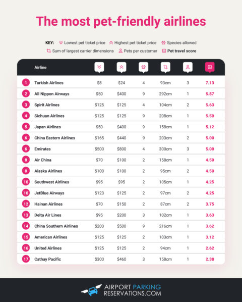 The Most Pet-Friendly Airlines When Traveling Abroad