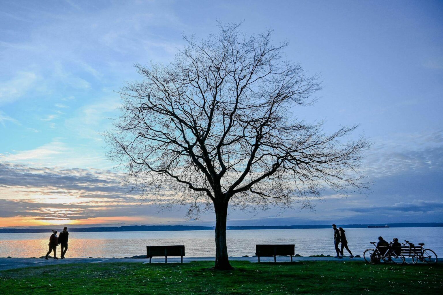 12 Things to Do Near Seattle Airport: Nearby and Inside