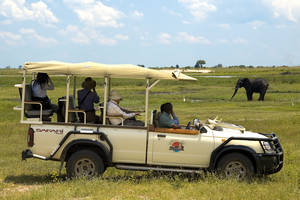 Wild Horizons - Chobe Day Trip from Vic Falls, Zimbabwe
