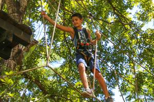 Graskop Lift Company - Tree-Top Challenge Hazyview