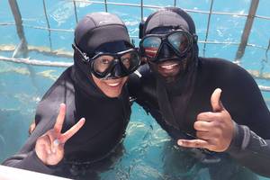 Apex Shark Expeditions - Shark Cage Diving Gansbaai