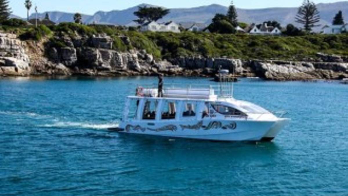 Hermanus Whale Watchers - Activities