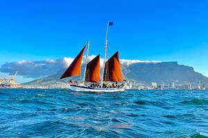 Wild Horizons Waterfront Adventures - 1 Hour Cruise and Lunch at Quay ...